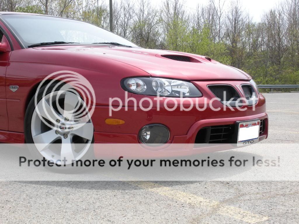 Reproduction SAP Front Fascia from GTOGrilles.com | LS1GTO Forums